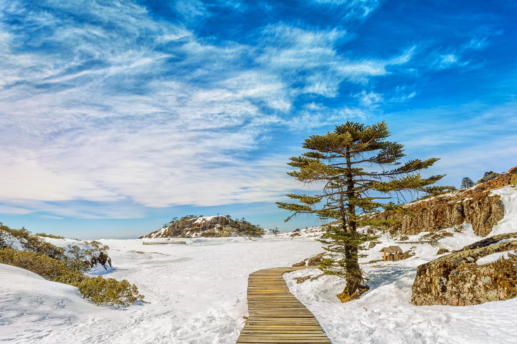 Asia – TX Travel Website